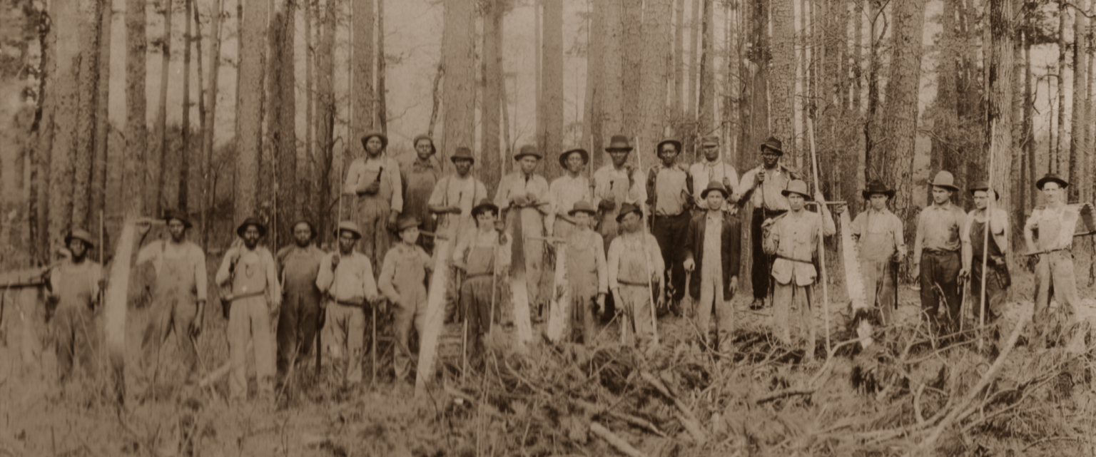 Tracing Oregon’s Timber Culture - World Forestry Center