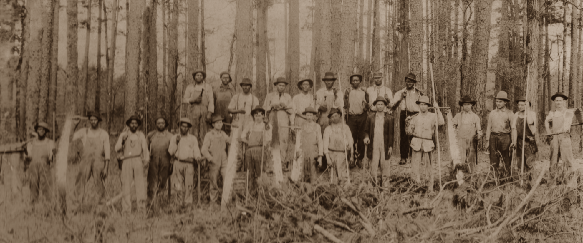 Tracing Oregon’s Timber Culture - World Forestry Center