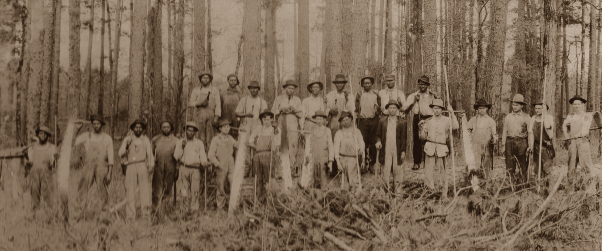 Tracing Oregon’s Timber Culture - World Forestry Center