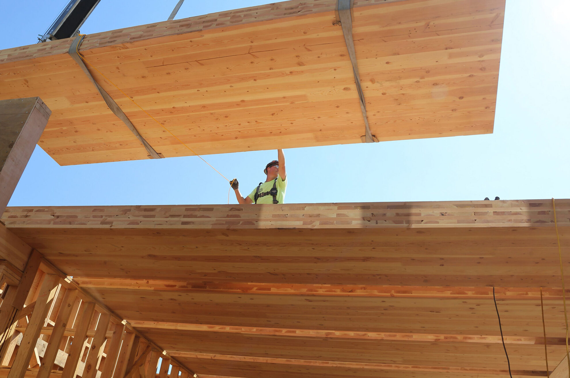 - World Forestry Center