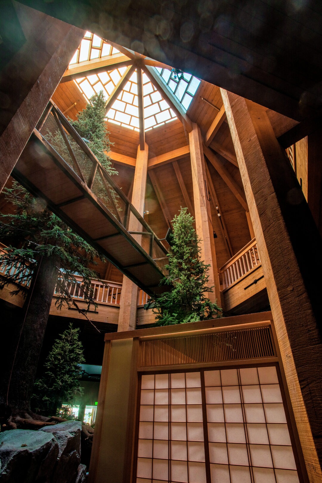 Our Museum - World Forestry Center