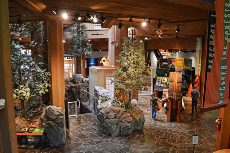 Our Museum - World Forestry Center