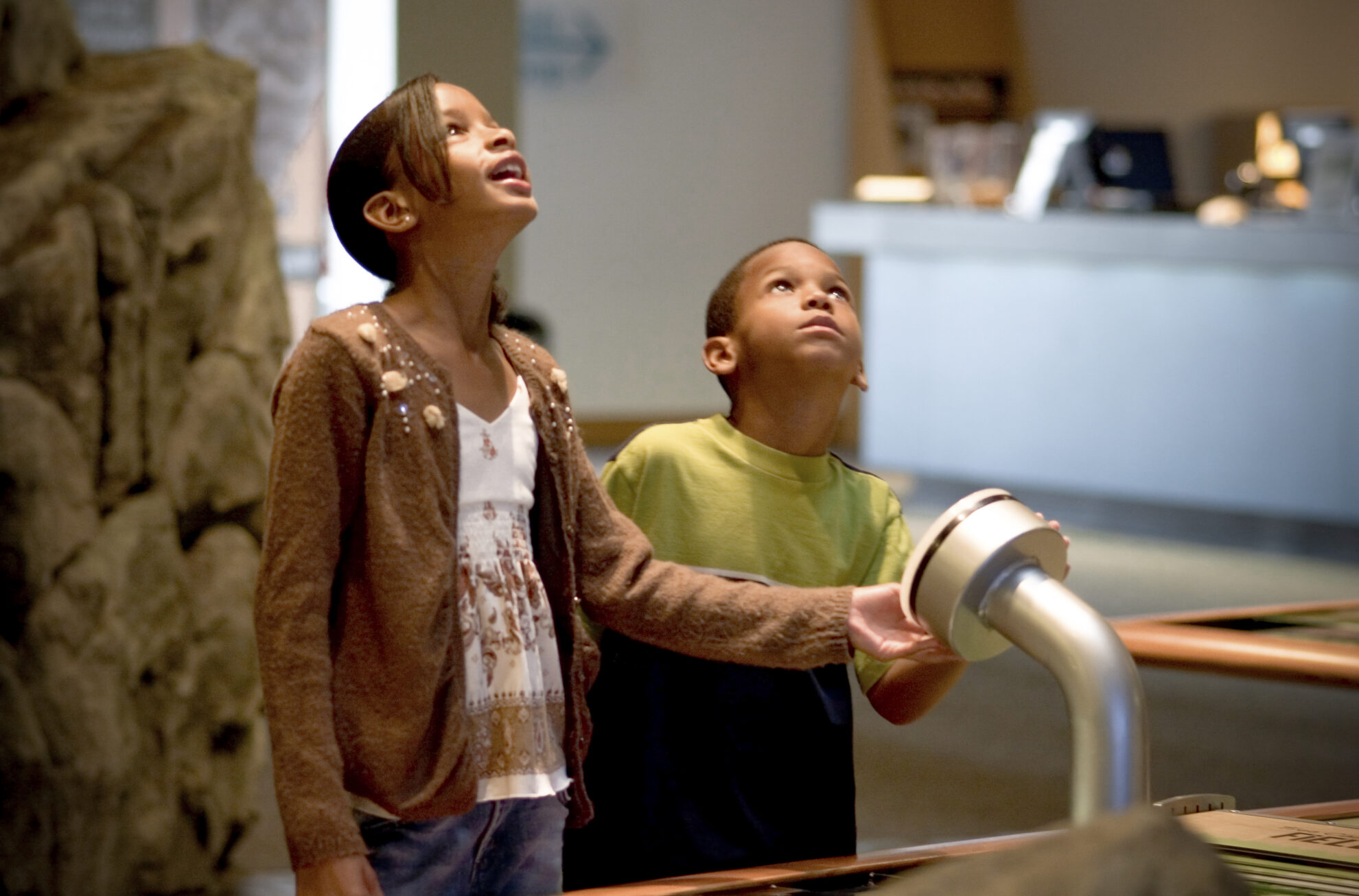 Our Museum - World Forestry Center