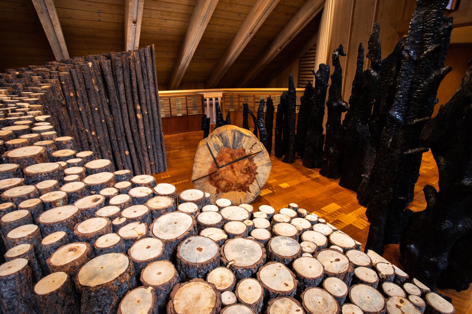 What's Inside Our Museum - World Forestry Center
