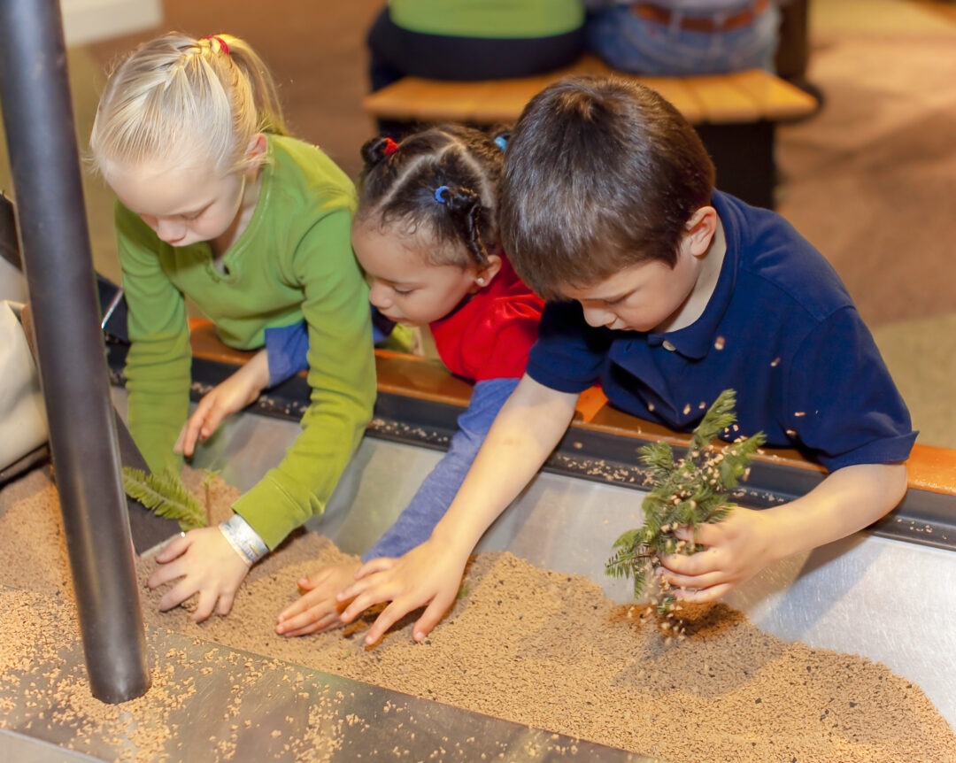 Our Museum - World Forestry Center