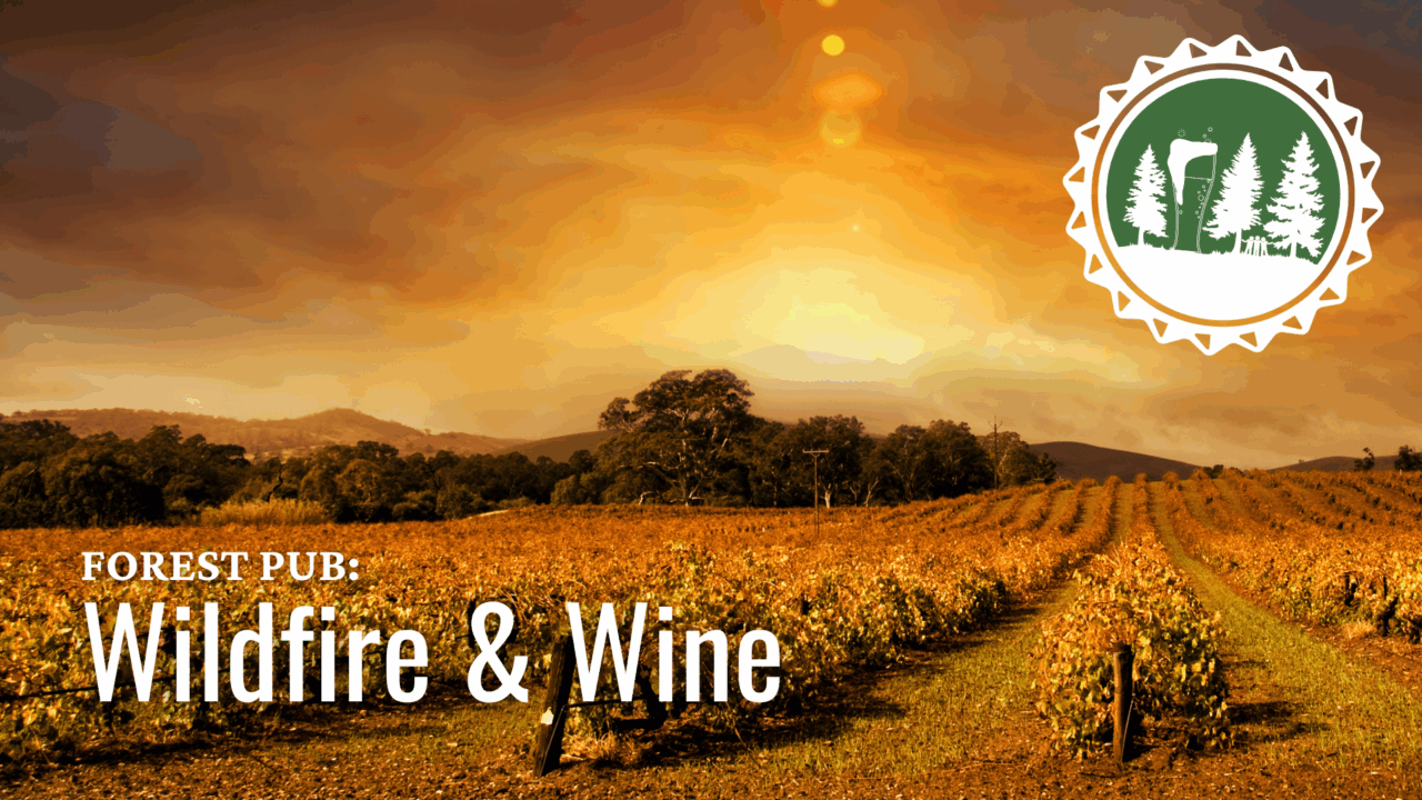 Forest Pub: Wildfire & Wine - From Vineyard to Palate - World Forestry Center