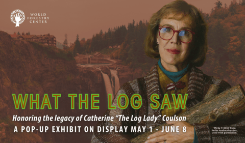 What the Log Saw: Honoring the legacy of Catherine “The Log Lady ...