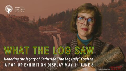 What the Log Saw: Honoring the legacy of Catherine “The Log Lady ...