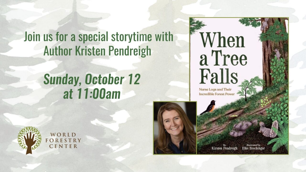 Author Storytime: When a Tree Falls w/ Kristen Pendreigh | World ...