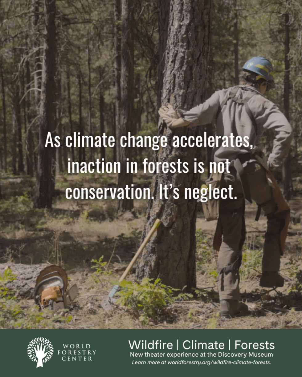 Wildfire | Climate | Forests | World Forestry Center