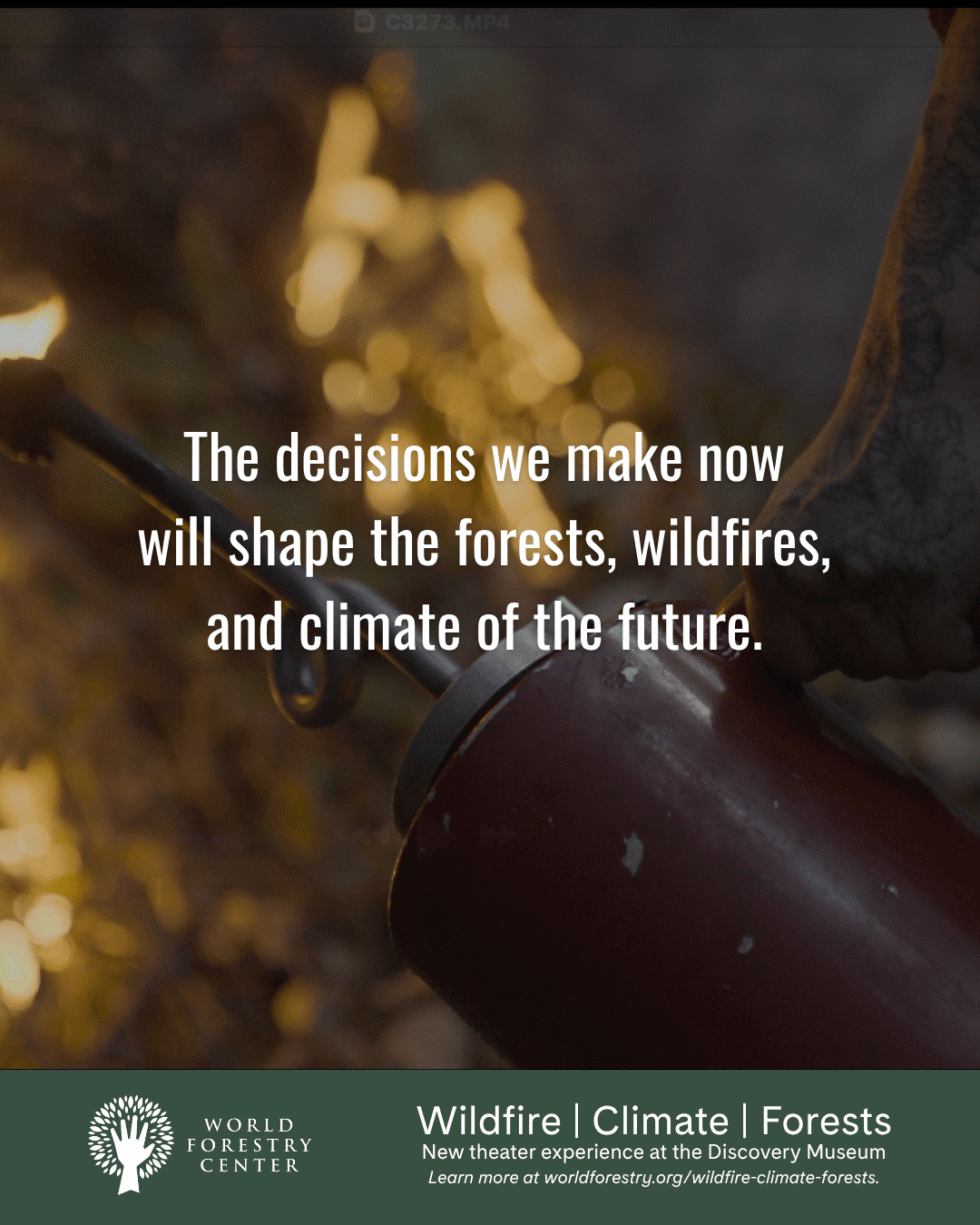Wildfire | Climate | Forests | World Forestry Center